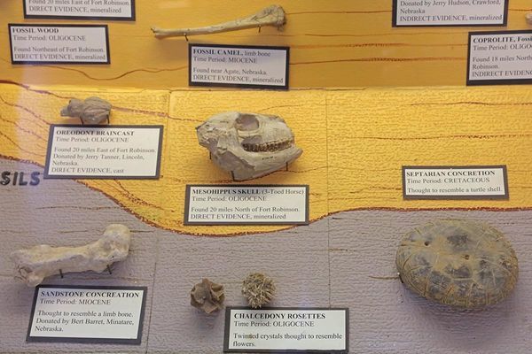 Trailside Museum Exhibits